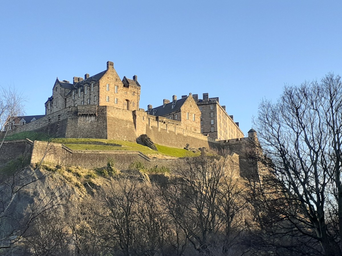 PhD opportunity in Edinburgh: Digital literacy skill requirements for new employees and its ...